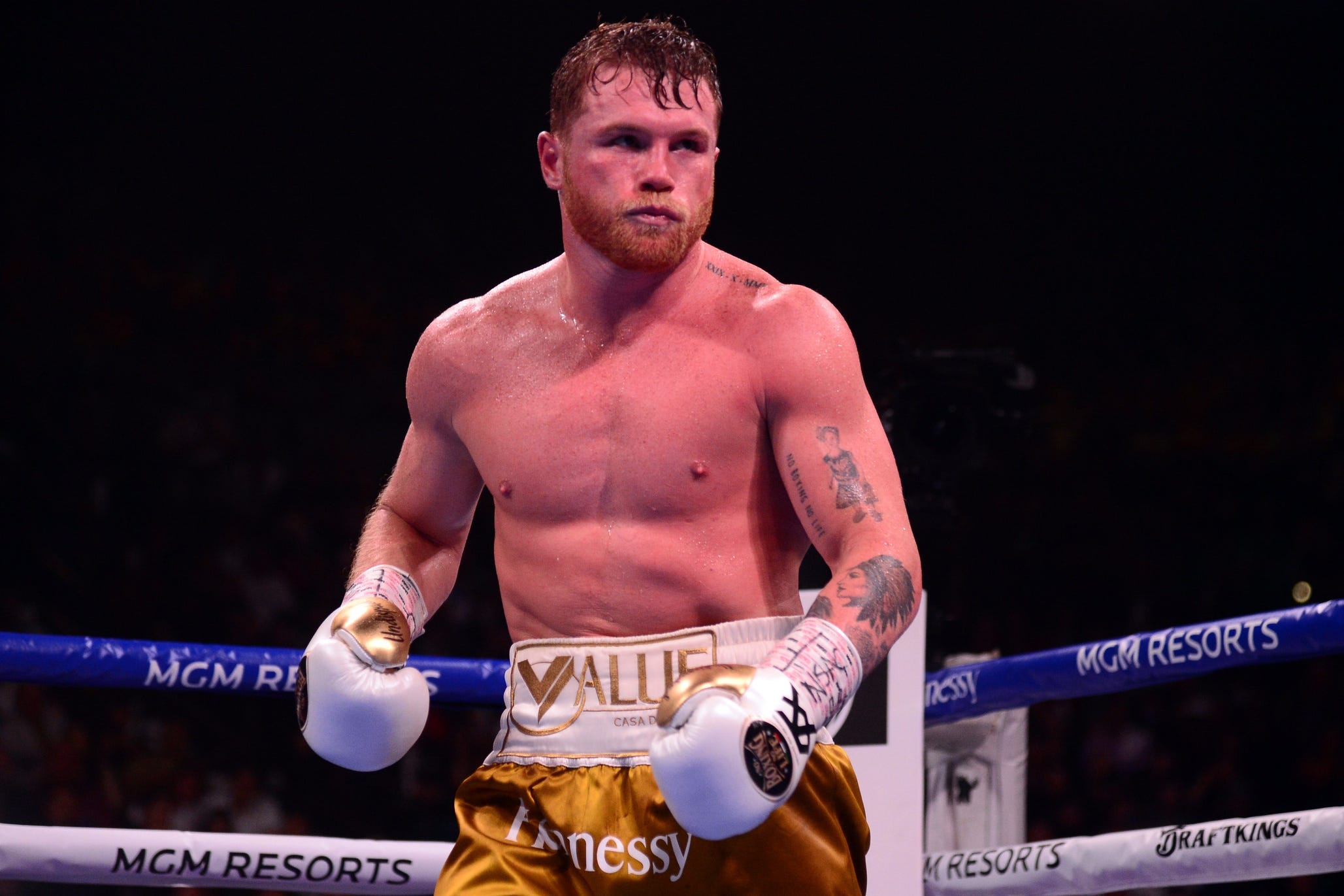 Canelo Alvarez vs. William Scull: Undisputed Super Middleweight Title ...