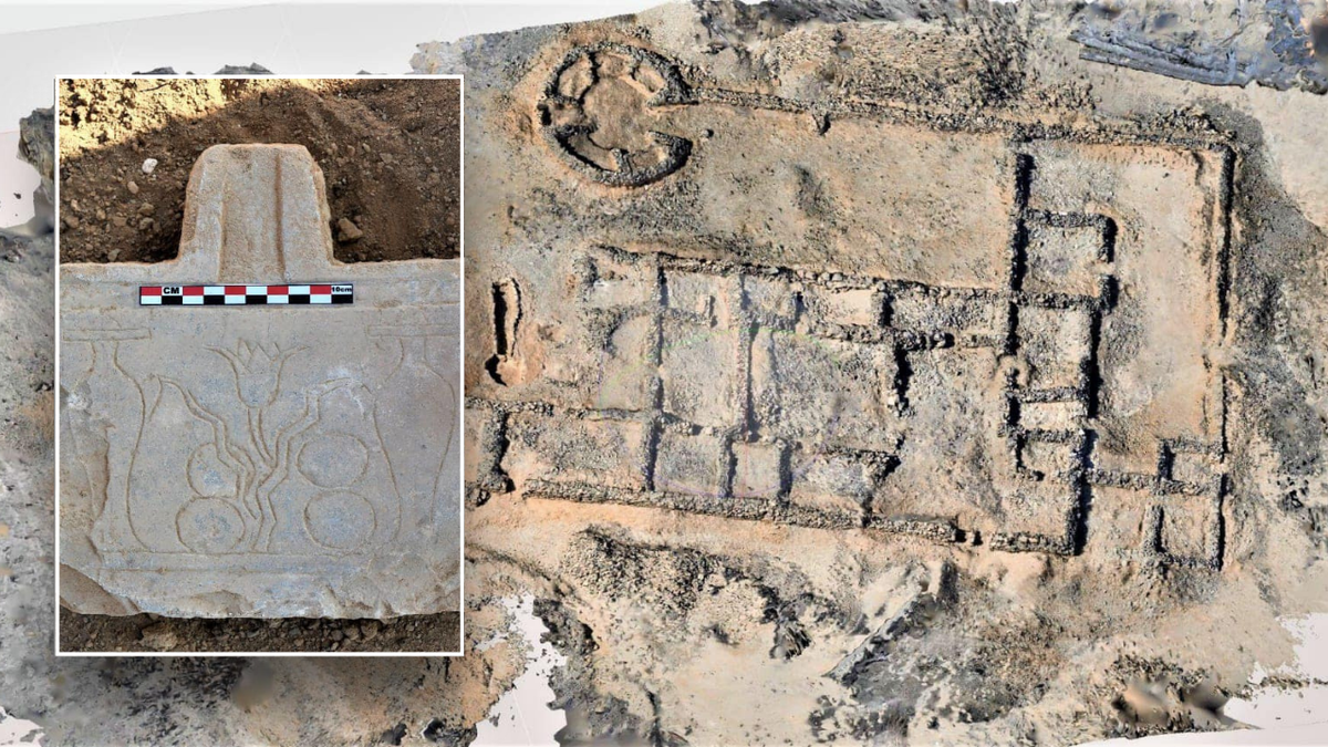Ancient Egyptian Gold Mine Discovered: Homes, Baths, & Artifacts